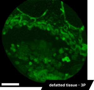 Cell Imaging Lightcore Technologies