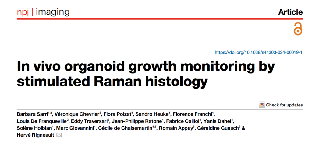 Publications Lightcore Technologies
